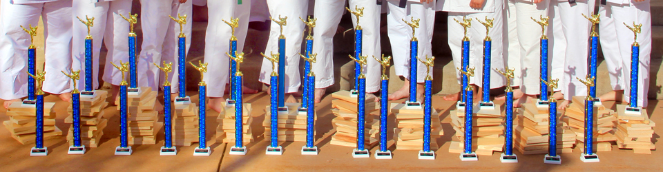 Try Summer Karate Classes At Penn State Penn State Karate Club